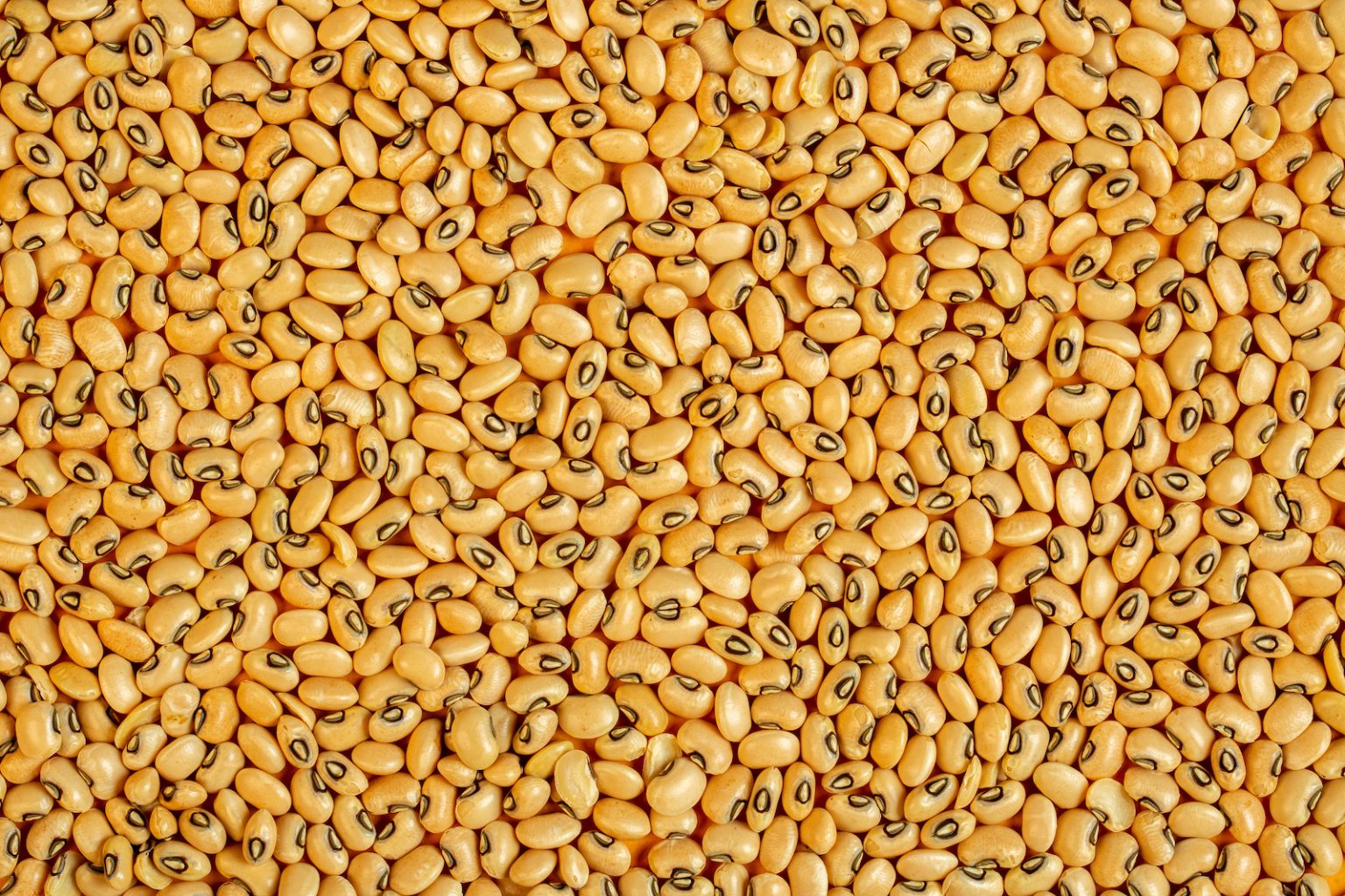A Guide To Indian Dal, Beans and Pulses Commonly Used In Indian Cooking