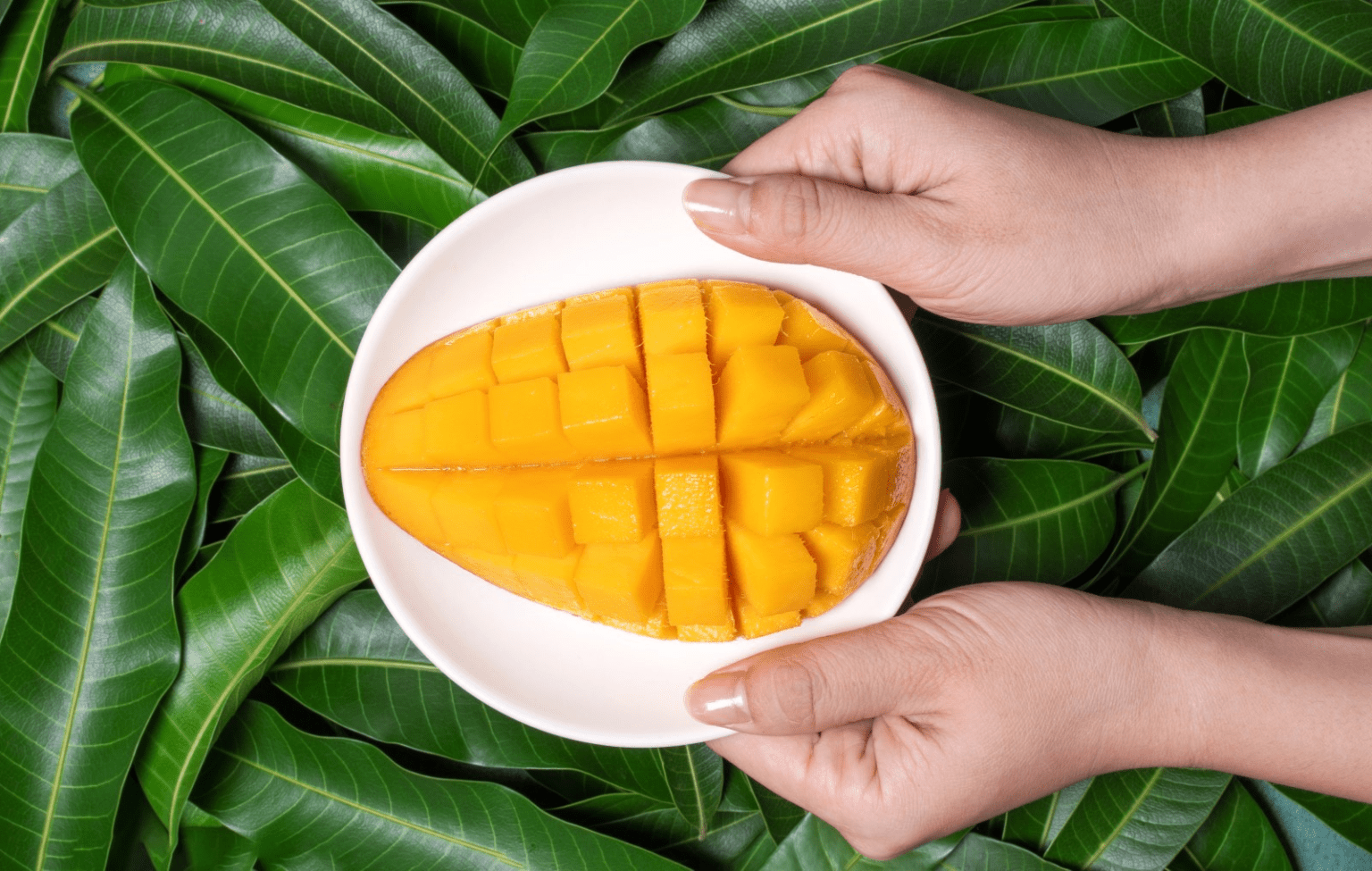 Fresh and Fragrant: Best Indian Kesar Mangoes Online in the USA